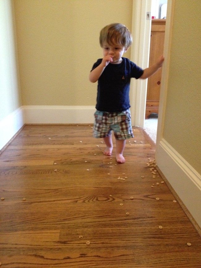 one step forward, a handful of Cheerios back | a beautiful mess